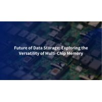 Future of Data Storage: Exploring the Versatility of Multi-Chip Memory